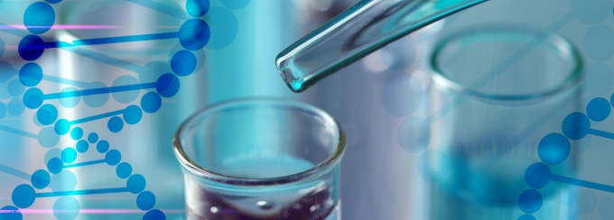 Online MS in Pharmaceutical Sciences - School of Pharmacy and ...