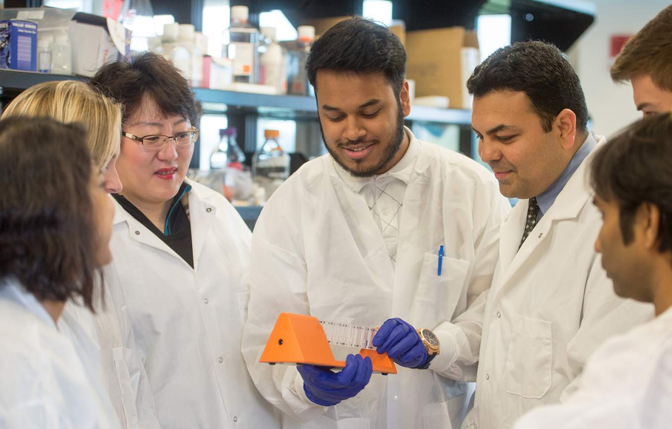 Undergraduate Program - School of Pharmacy and Pharmaceutical Sciences ...