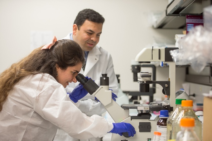 Undergraduate Program - School of Pharmacy and Pharmaceutical Sciences ...