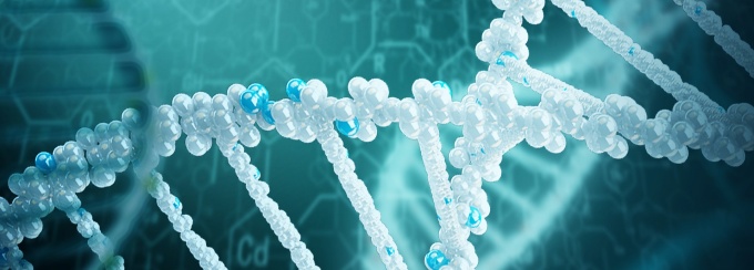 Division of Molecular Biosciences - School of Pharmacy and ...