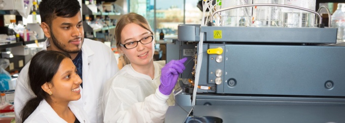 Department Divisions - School of Pharmacy and Pharmaceutical Sciences ...