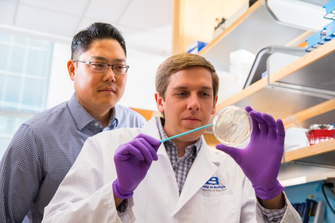 Research - School of Pharmacy and Pharmaceutical Sciences - University ...